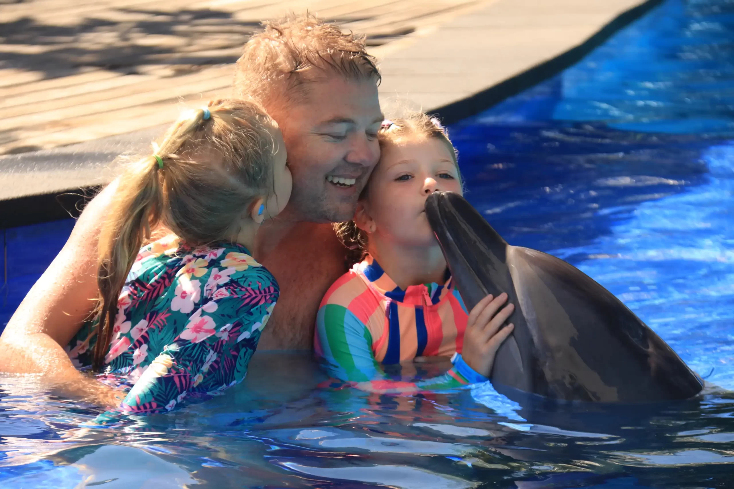 Only Dolphin Interaction in Bali - Bali Dolphin Watching